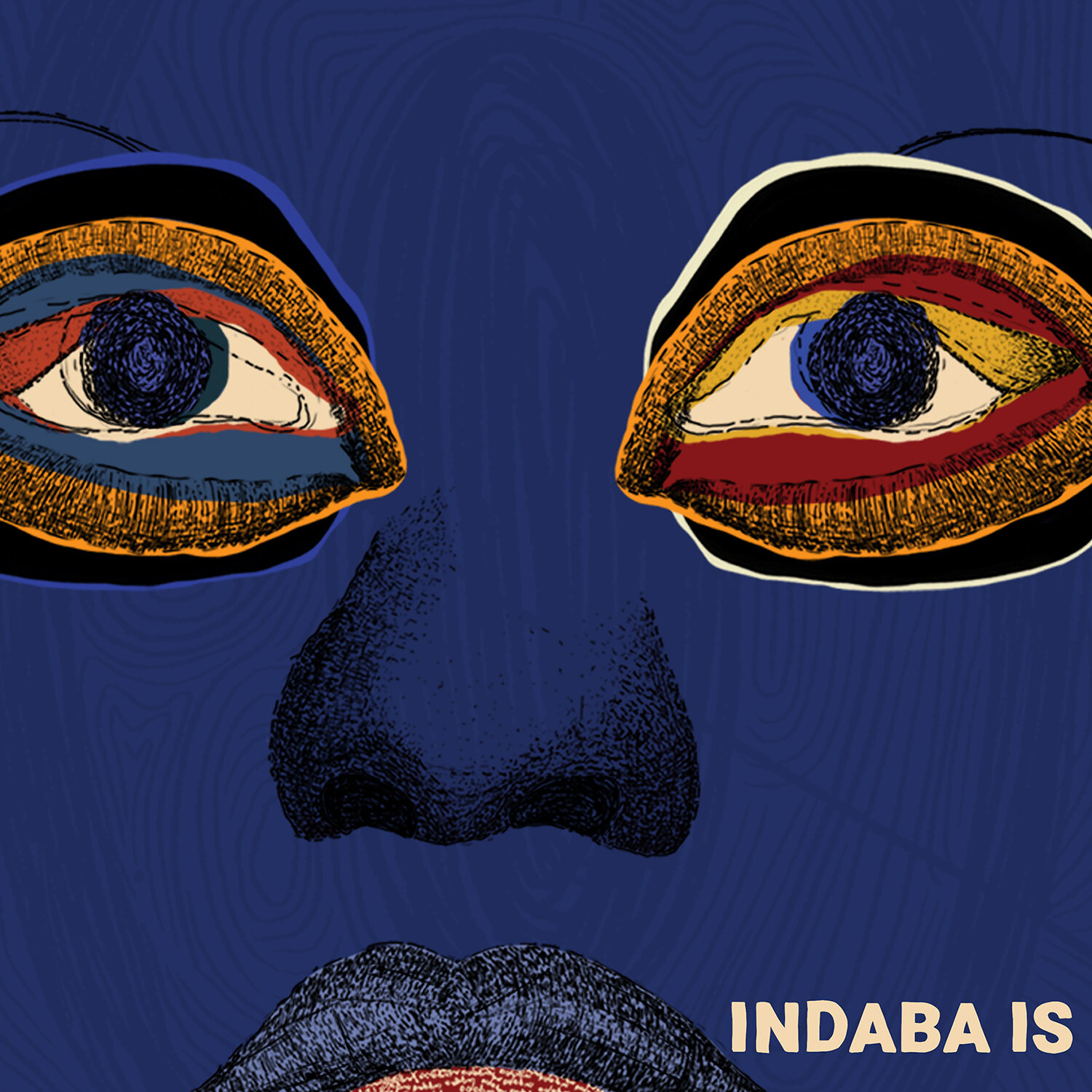 'Indaba Is All The People' - The stunning documentary OUT NOW on ...